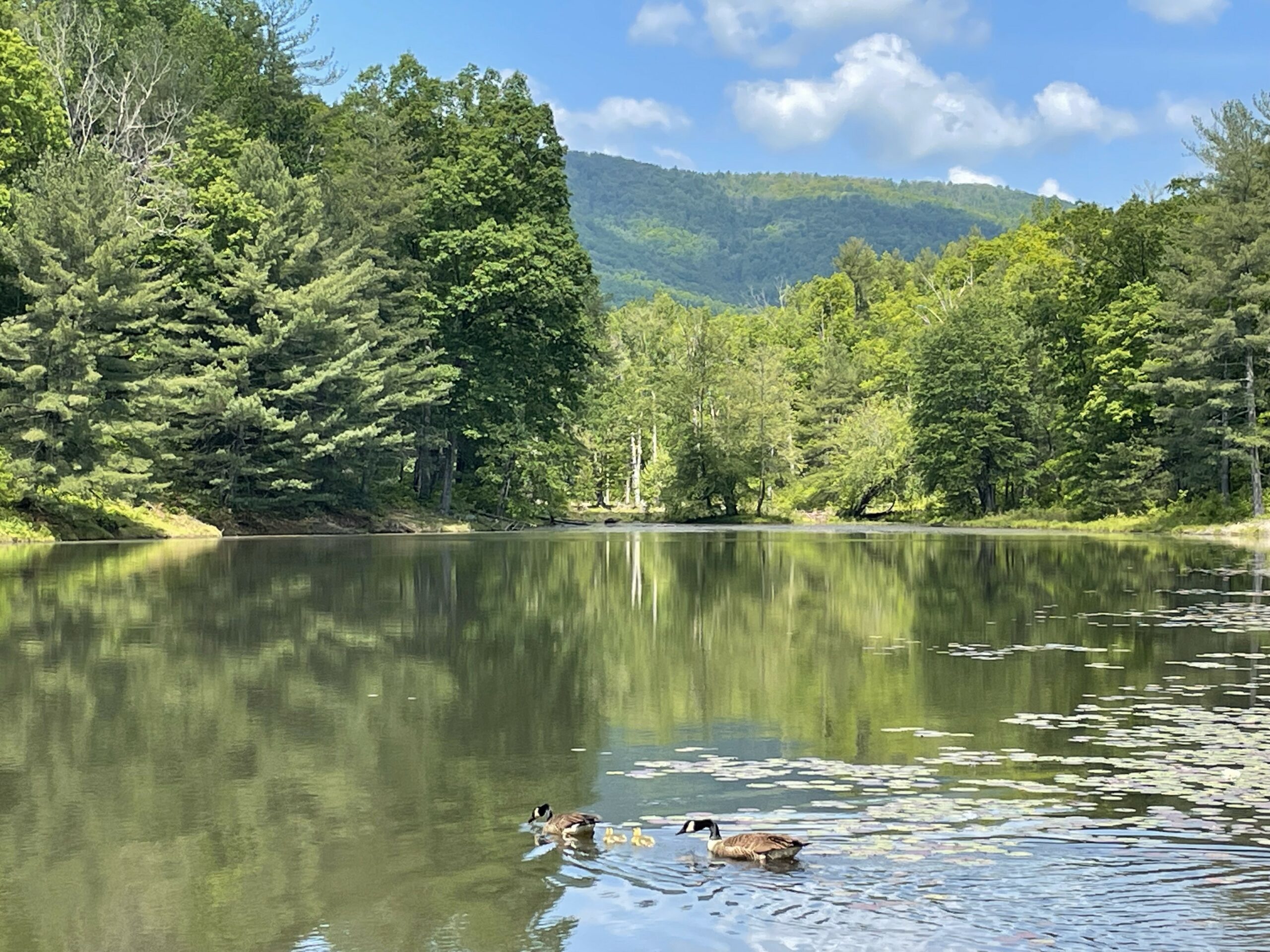 Save on Summer Vacations with Lots of Activity Ideas! - Montfair Resort ...